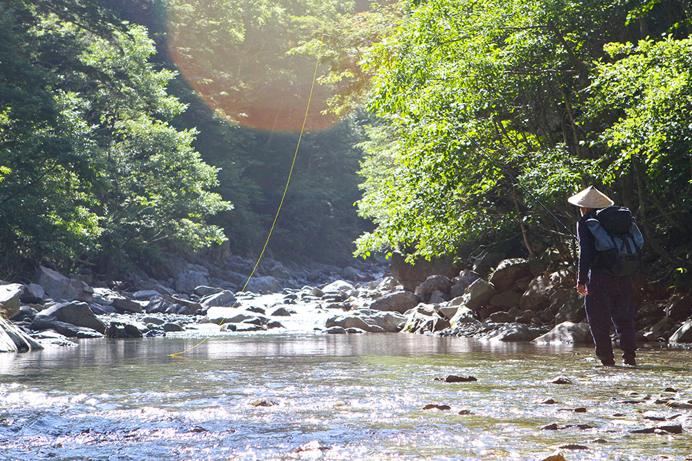 Les principes d'un bon ferrage & la pêche à la mouche - Tenkara World